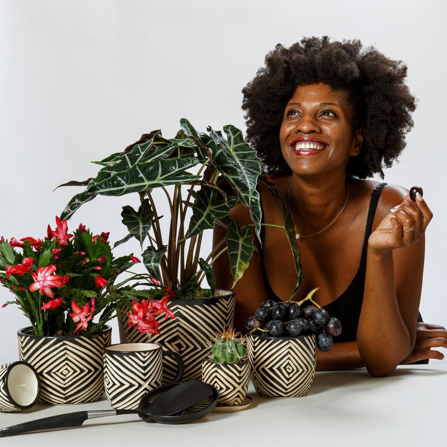 DTLA Wheel Classes – Still Life Studio DTLA